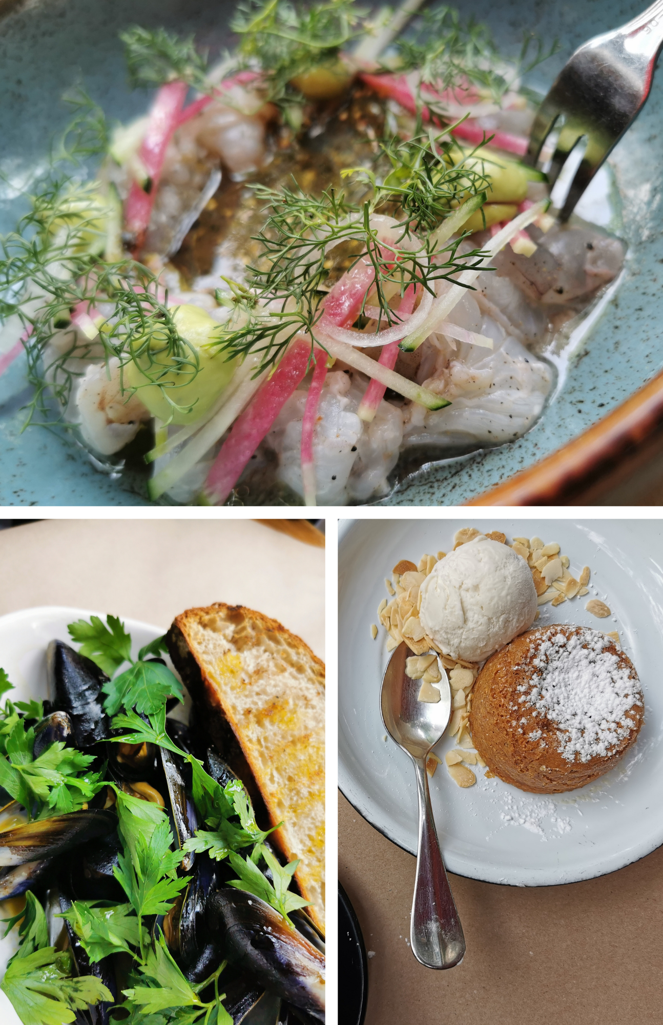 La Docena: una delicia del mar - Only